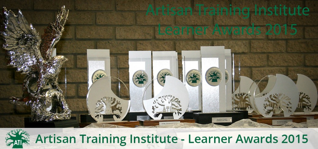 award2 - Artisan Training Institute